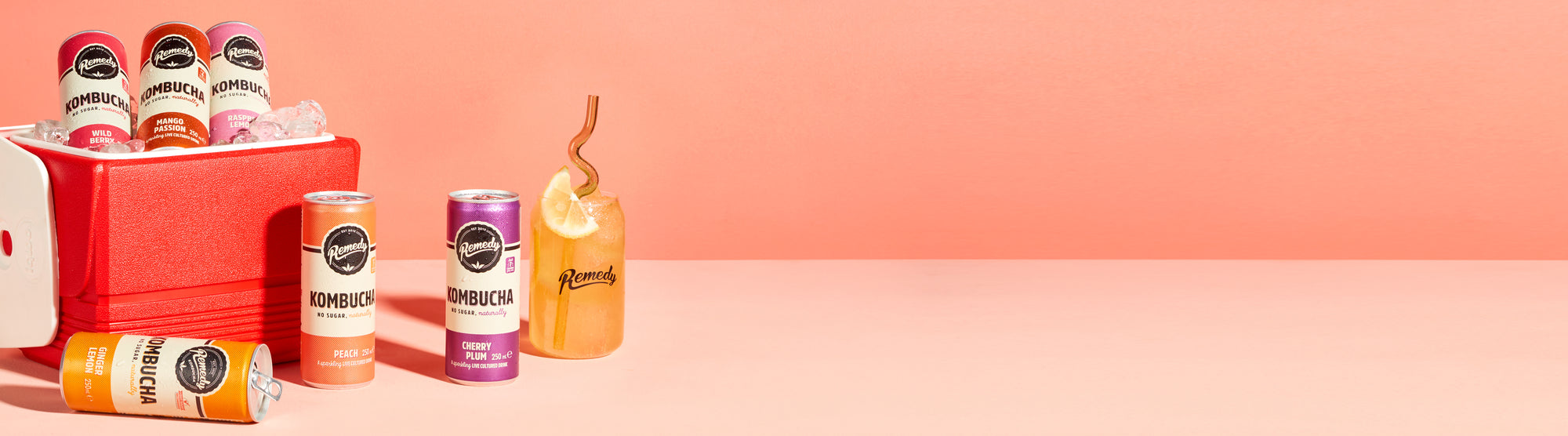 Remedy Kombucha | No Sugar Kombucha | Remedy Drinks