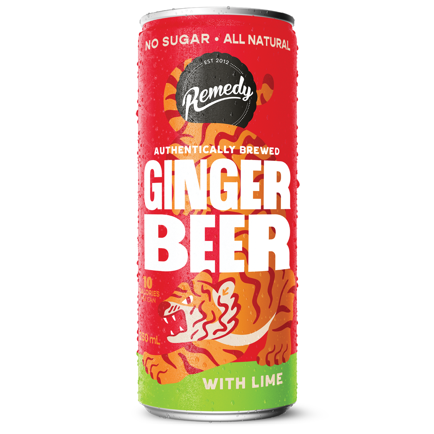 Remedy Ginger Beer | Real Ginger | Remedy Drinks