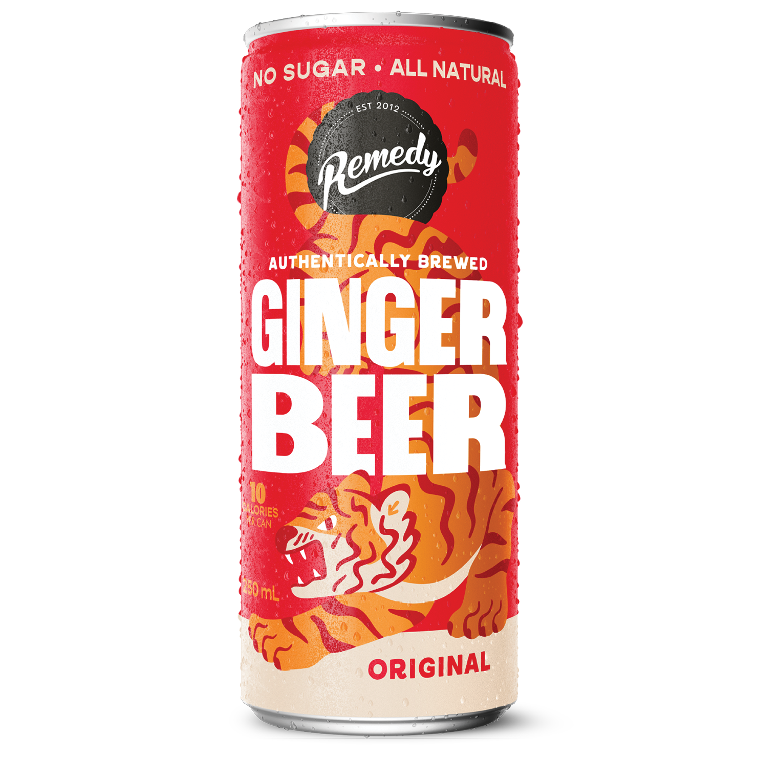 Remedy Ginger Beer | No Sugar | Remedy Drinks