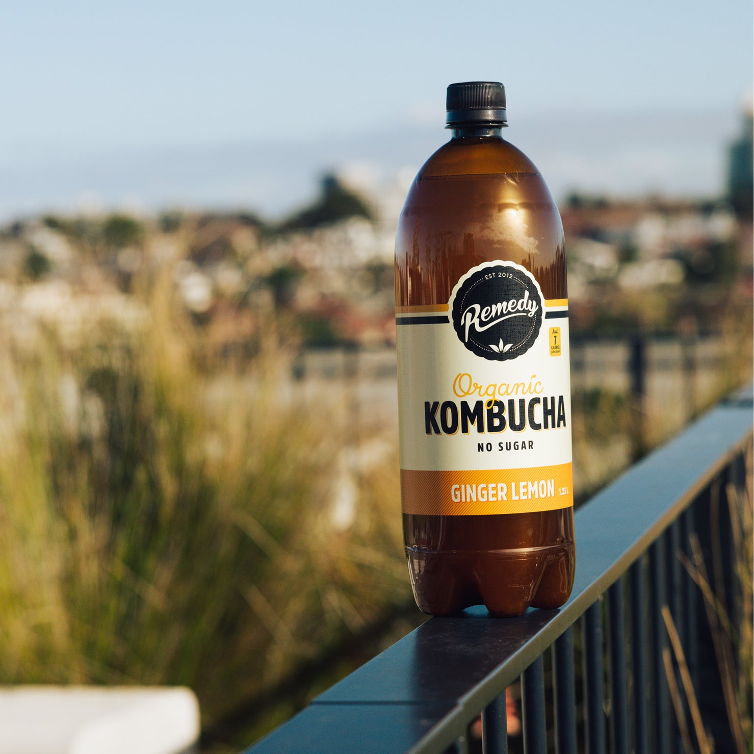Ginger Lemon Kombucha | No Sugar Drink | Remedy Kombucha – Remedy Drinks