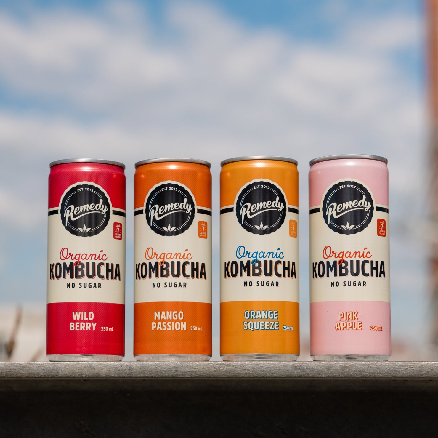 Remedy Mixed Case | Sugar Free Drinks | Organic Kombucha – Remedy Drinks