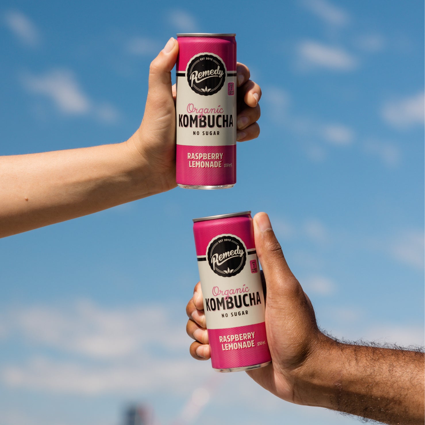 Raspberry Lemonade Kombucha | All Natural | Remedy Drinks