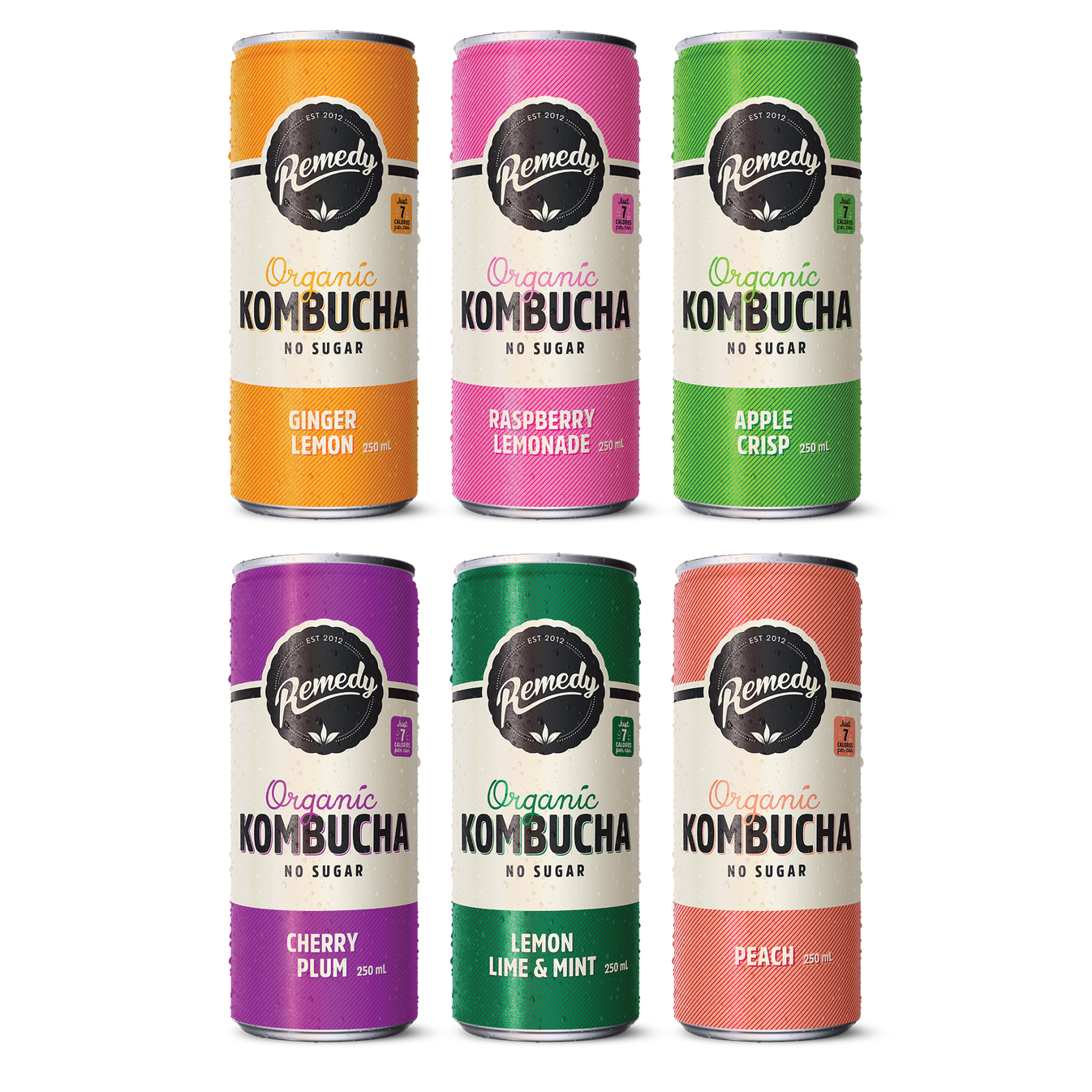 Kombucha Mixed Case | Natural flavours | Remedy Kombucha – Remedy Drinks