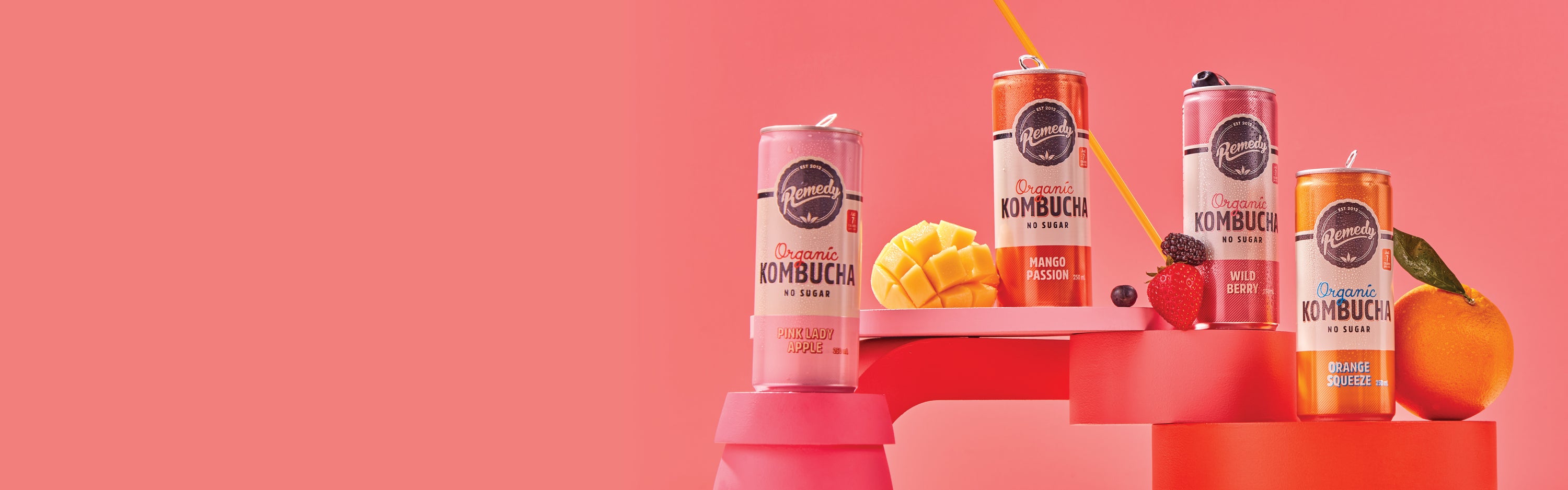 Our Story – Remedy Drinks