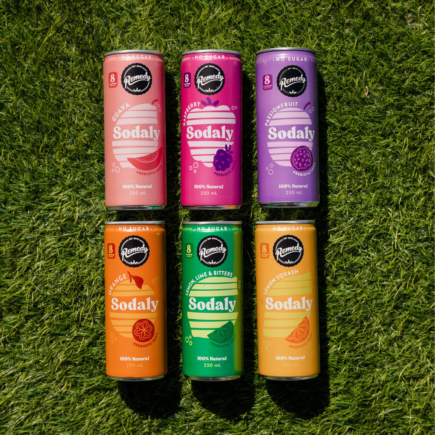 Sodaly Mixed Case | Sugar Free Soft Drinks | Remedy Drinks