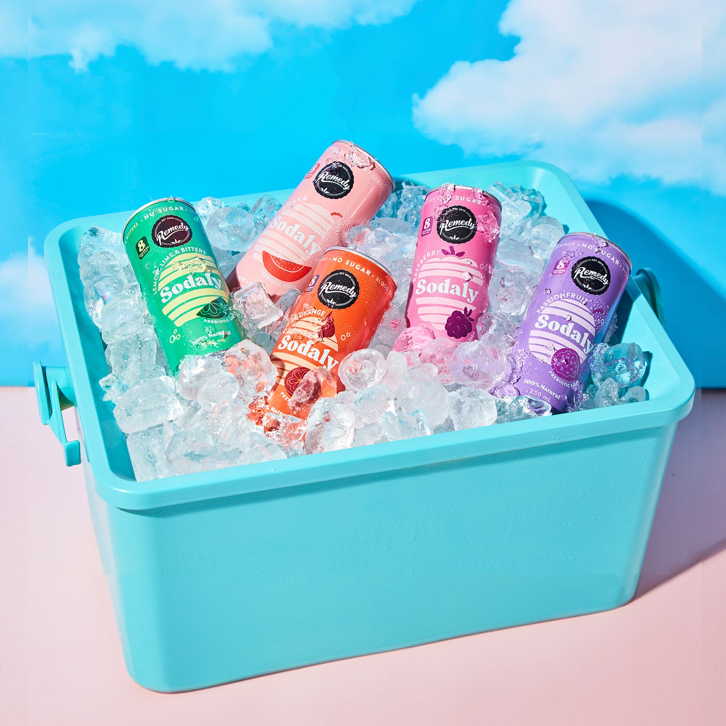 Sodaly Mixed Case | Sugar Free Soft Drinks | Remedy Drinks
