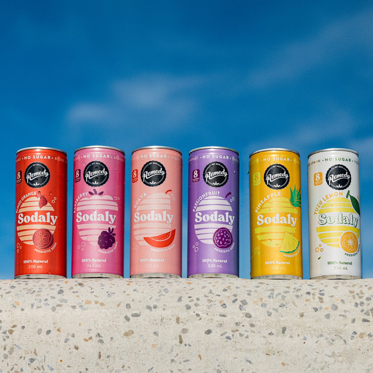 Sodaly Mixed Case | Sugar Free Soft Drinks | Remedy Drinks