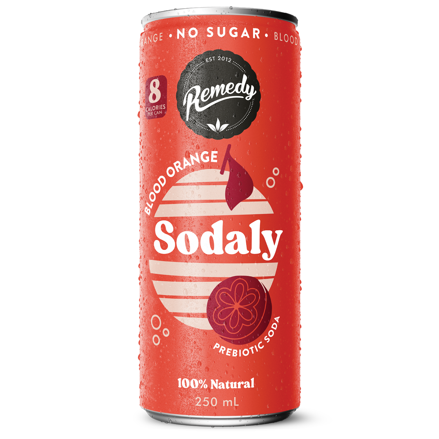 Shop Remedy Sodaly | Sugar Free Soft Drinks – Remedy Drinks