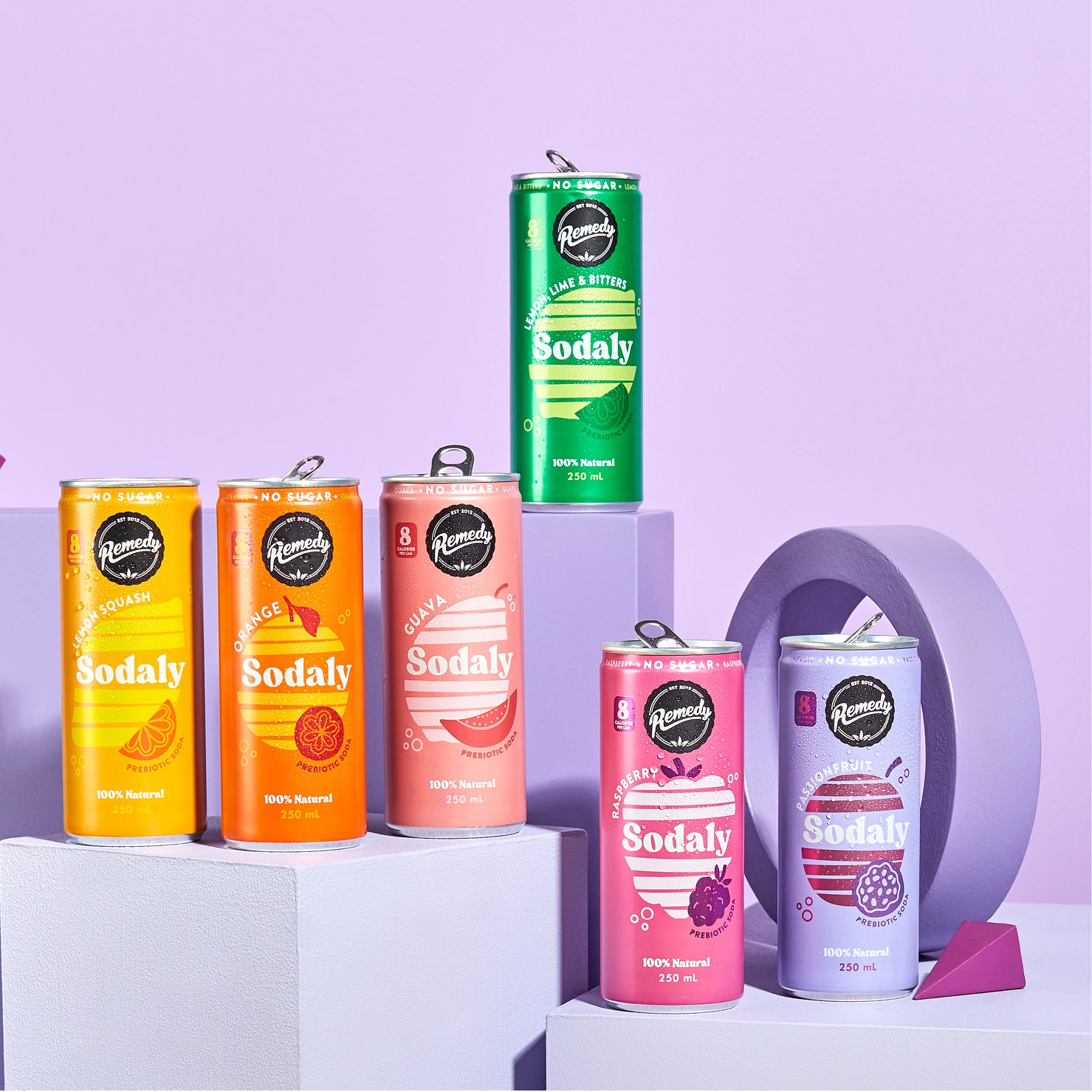 Remedy Drinks | Live Cultured with No Sugar, For Real