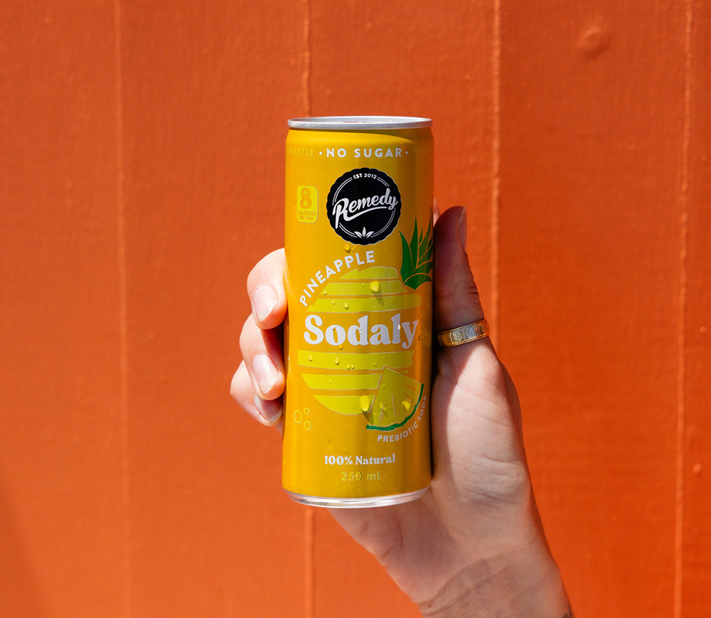 Remedy Drinks | Live Cultured with No Sugar, For Real