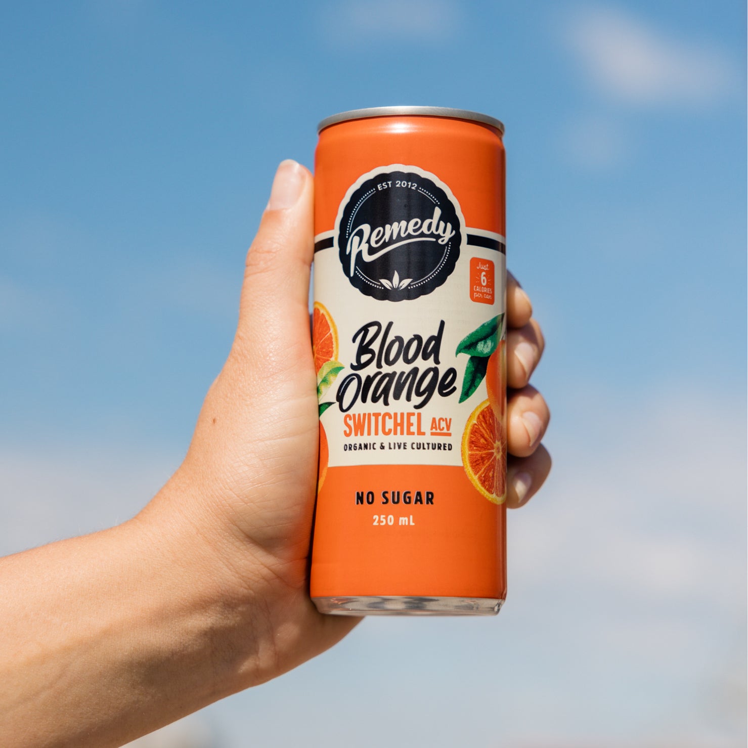 Blood Orange Switchel | Apple Cider Vinegar | Remedy Switchel – Remedy ...