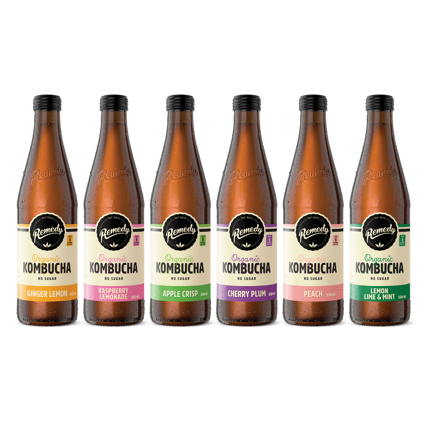 Kombucha Mixed Case | Natural flavours | Remedy Kombucha – Remedy Drinks