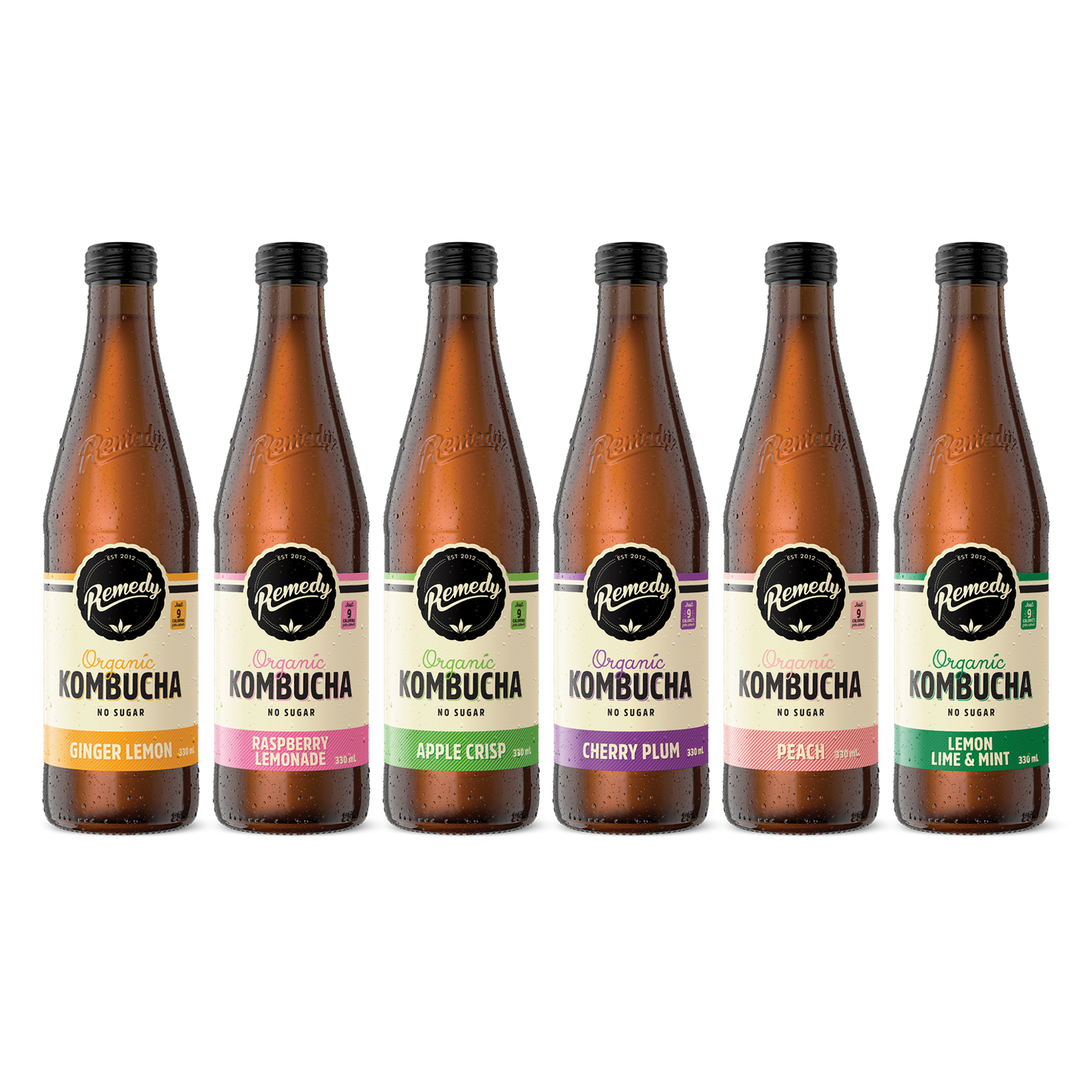 Kombucha Mixed Case | Natural flavours | Remedy Kombucha – Remedy Drinks
