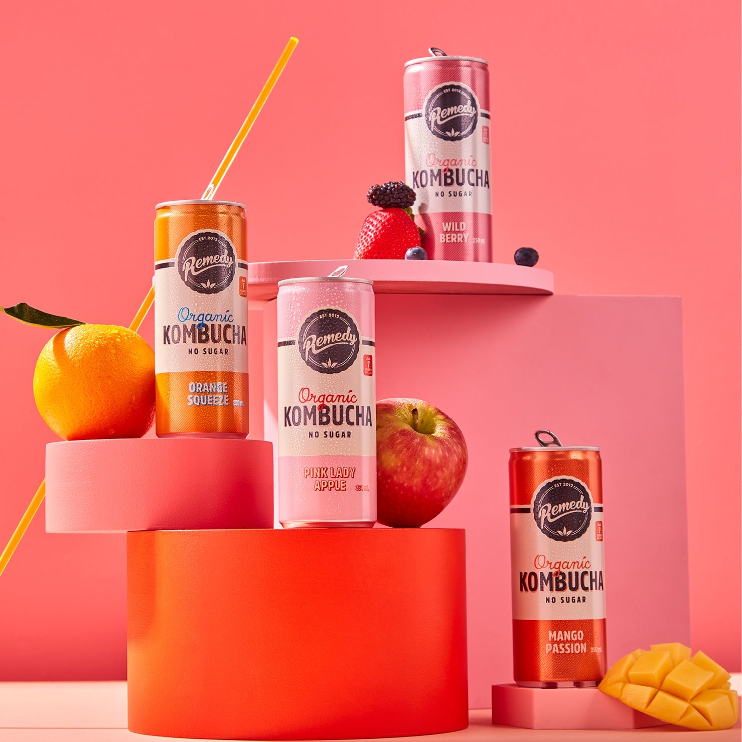 Remedy Drinks | Live Cultured with No Sugar, For Real